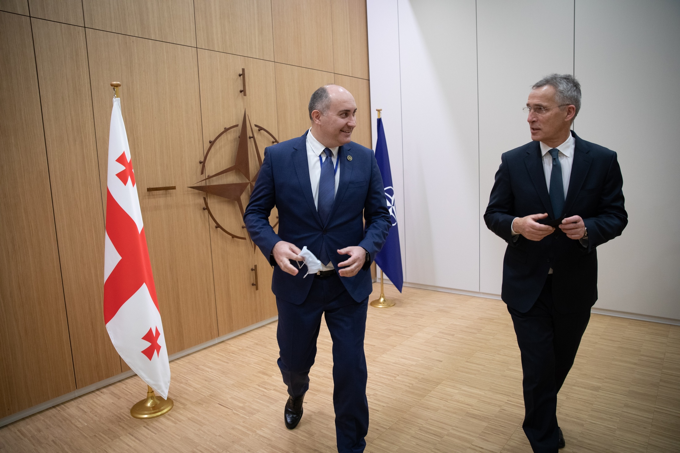 Georgia says joining NATO only way to preserve country’s integrity