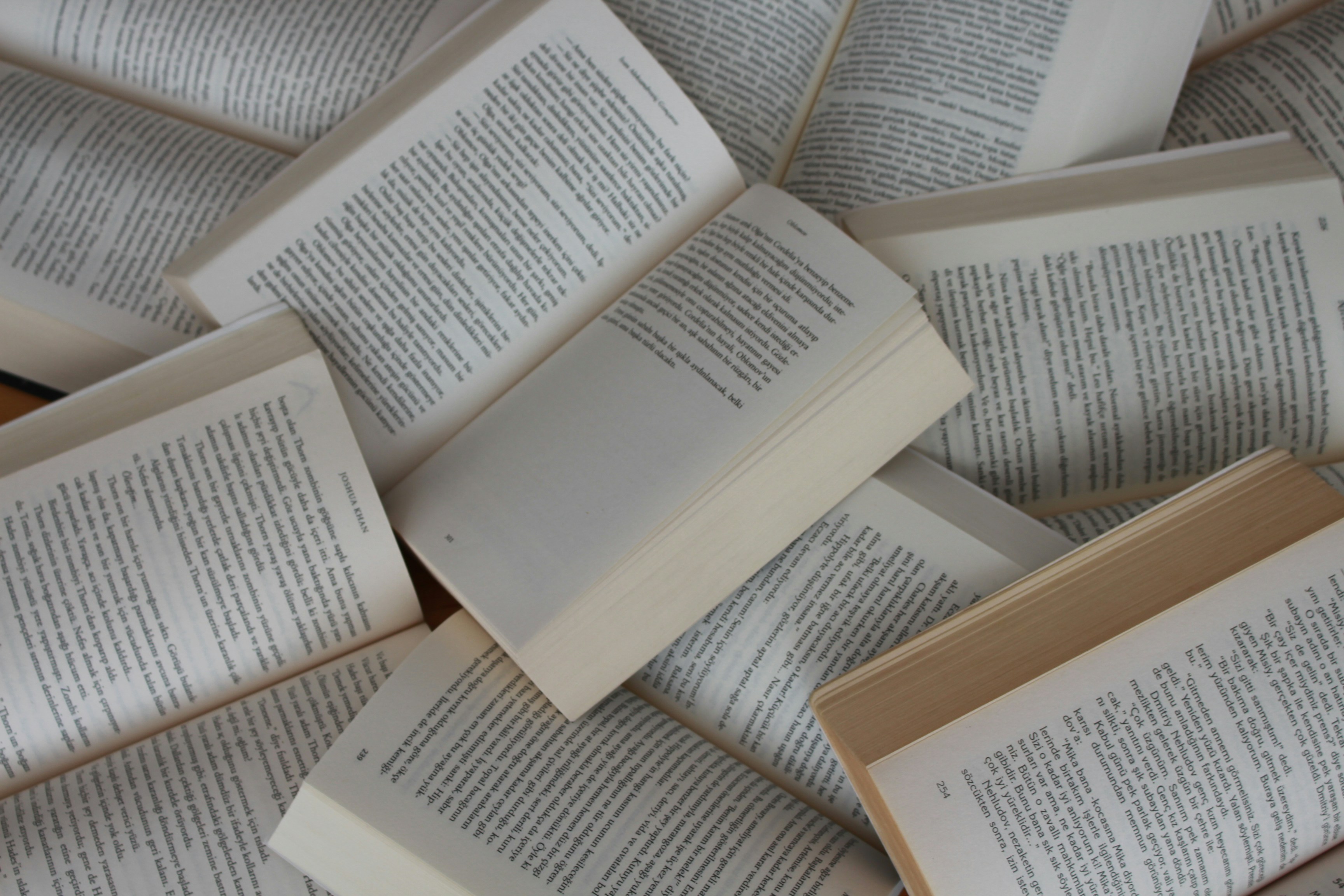 Denmark scraps book tax to fight ‘reading crisis’