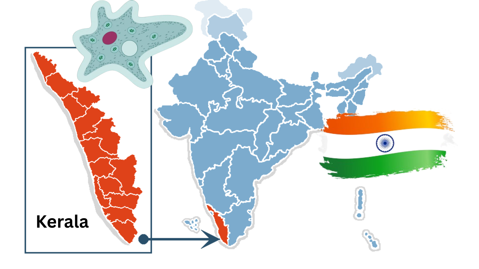 Surge in deadly ‘brain-eating’ amoeba cases causes alarm in India’s ...